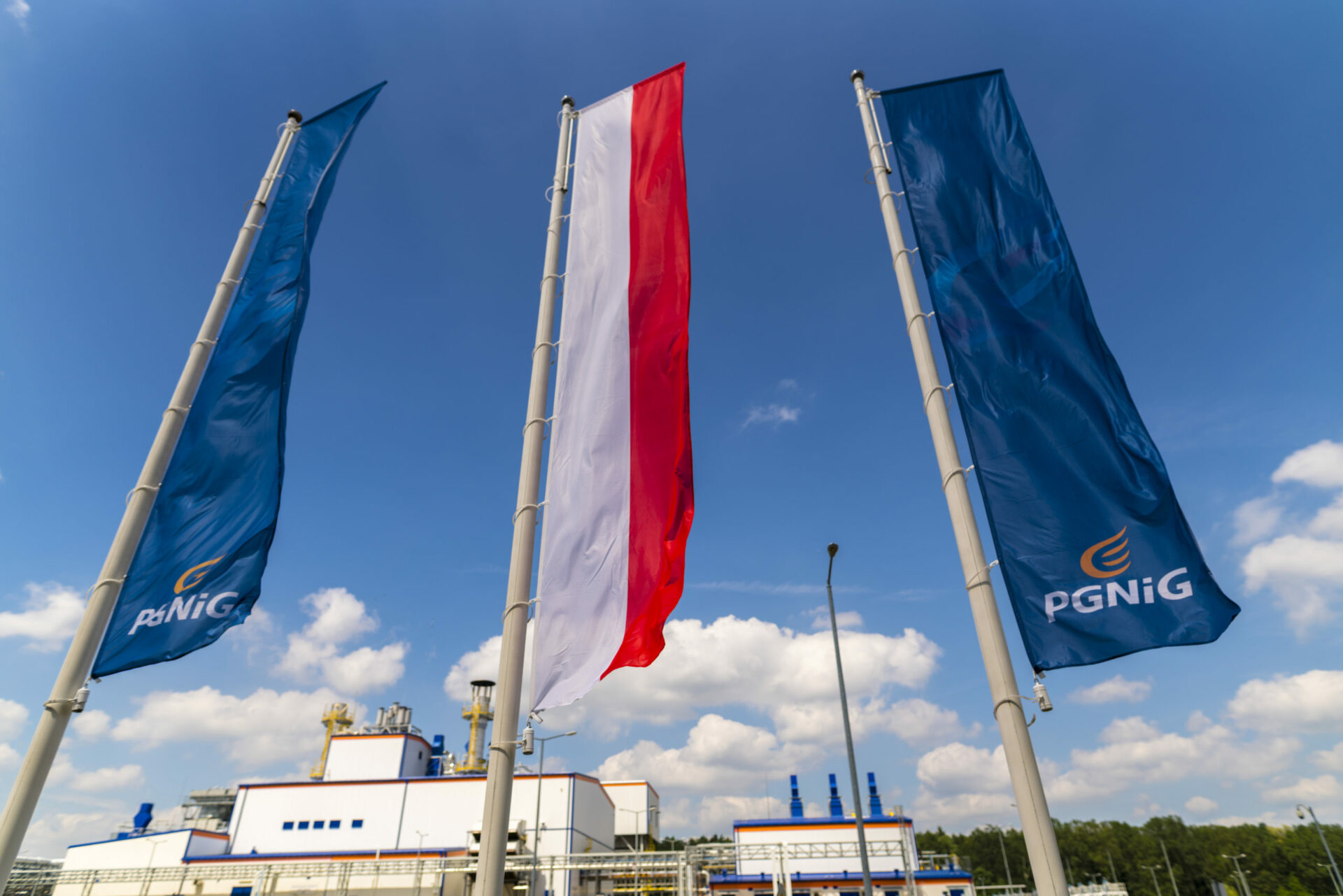 Organisation of the PGNiG Group - PGNiG Integrated ESG Report 2021